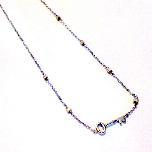 Fossil | Jewelry | Fossil Signed Silver Tone Delicate Skeleton Key ...